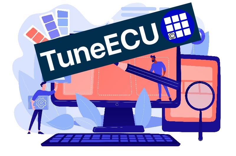 Как оплатить Tune ECU из России в рублях в 2025 | SanPay